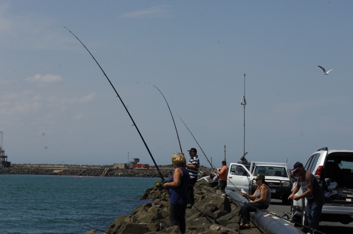 Fish the bridge, fill the fridge - Sportshounds