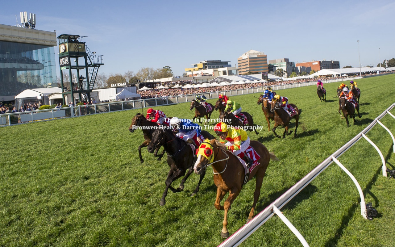 Safety must come first for jockeys - Sportshounds