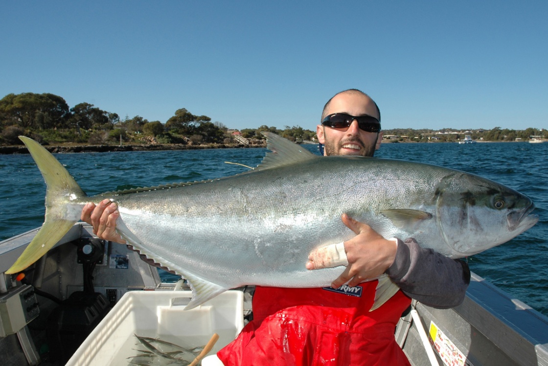 The fight of your life in Coffin Bay - Sportshounds