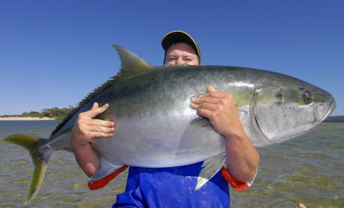 The fight of your life in Coffin Bay - Sportshounds